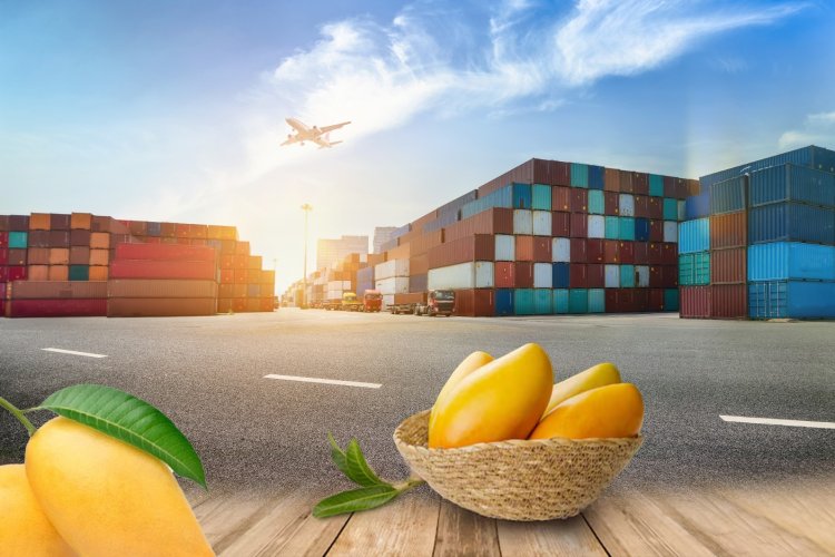 India’s Mango Varieties Conquering the Global Market - Exports Surge to ...